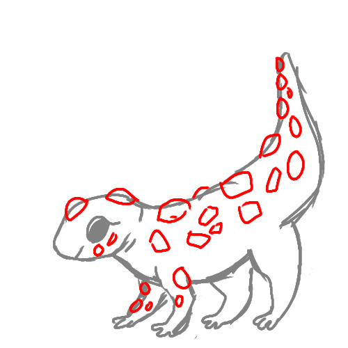 Saladmander Species Hub on Toyhouse